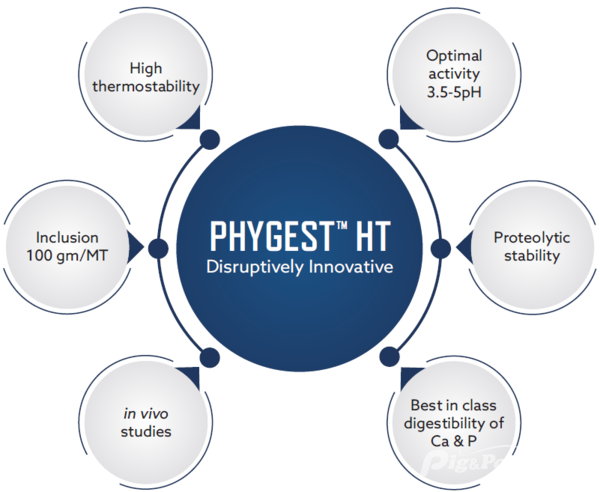 케민코리아(주), 차세대 파이타제 'PHYGEST HT' 출시