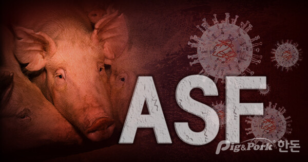 ASF 발병 농장의 임상예찰 일지