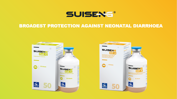 히프라(HIPRA), 혁신이 없는 백신은 개발하지 않는다!!