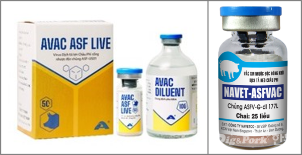 베트남, 전 세계 최초 ASF 백신 상용화 승인