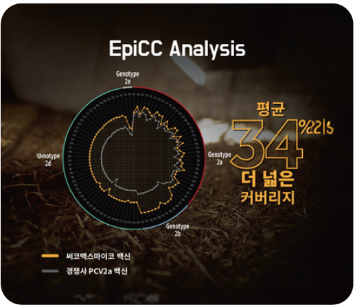 하나의 백신에 PCV2a, PCV2b 두 가지 항원 담은 최초의 백신 ‘써코맥스 마이코’