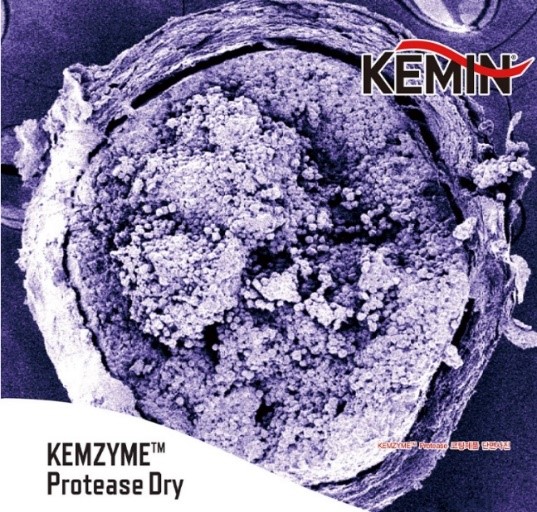 생산성 향상과 환경 개선 필수 아이템!, 멀티 프로테아제 ‘KEMZYME™ Protease’