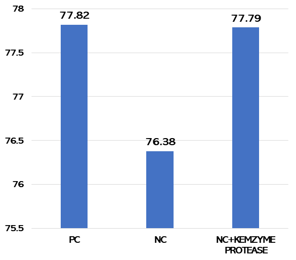 생산성 향상과 환경 개선 필수 아이템!, 멀티 프로테아제 ‘KEMZYME™ Protease’