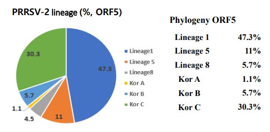 새로운 등장, 병원성 높은 PRRS의 국내 발생현황과 대처방안은?
