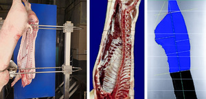 돼지고기 품질 개선 요구 증대에 따른 경제형질 발굴